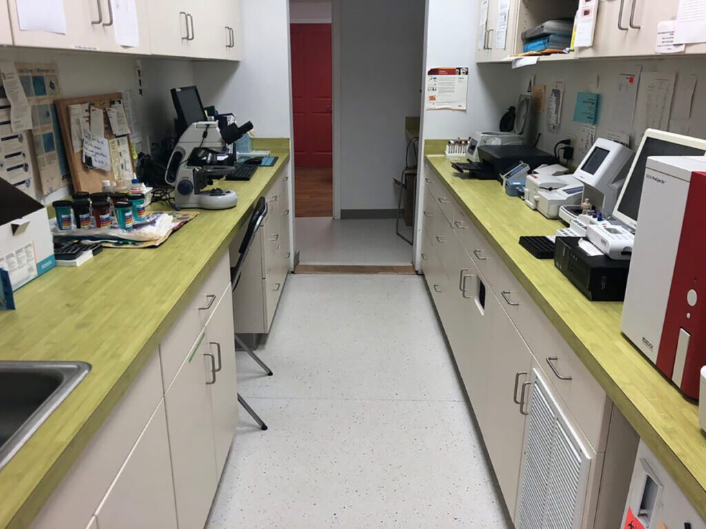 Veterinary Diagnostics and Imaging in Wallingford, CT | Yalesville ...